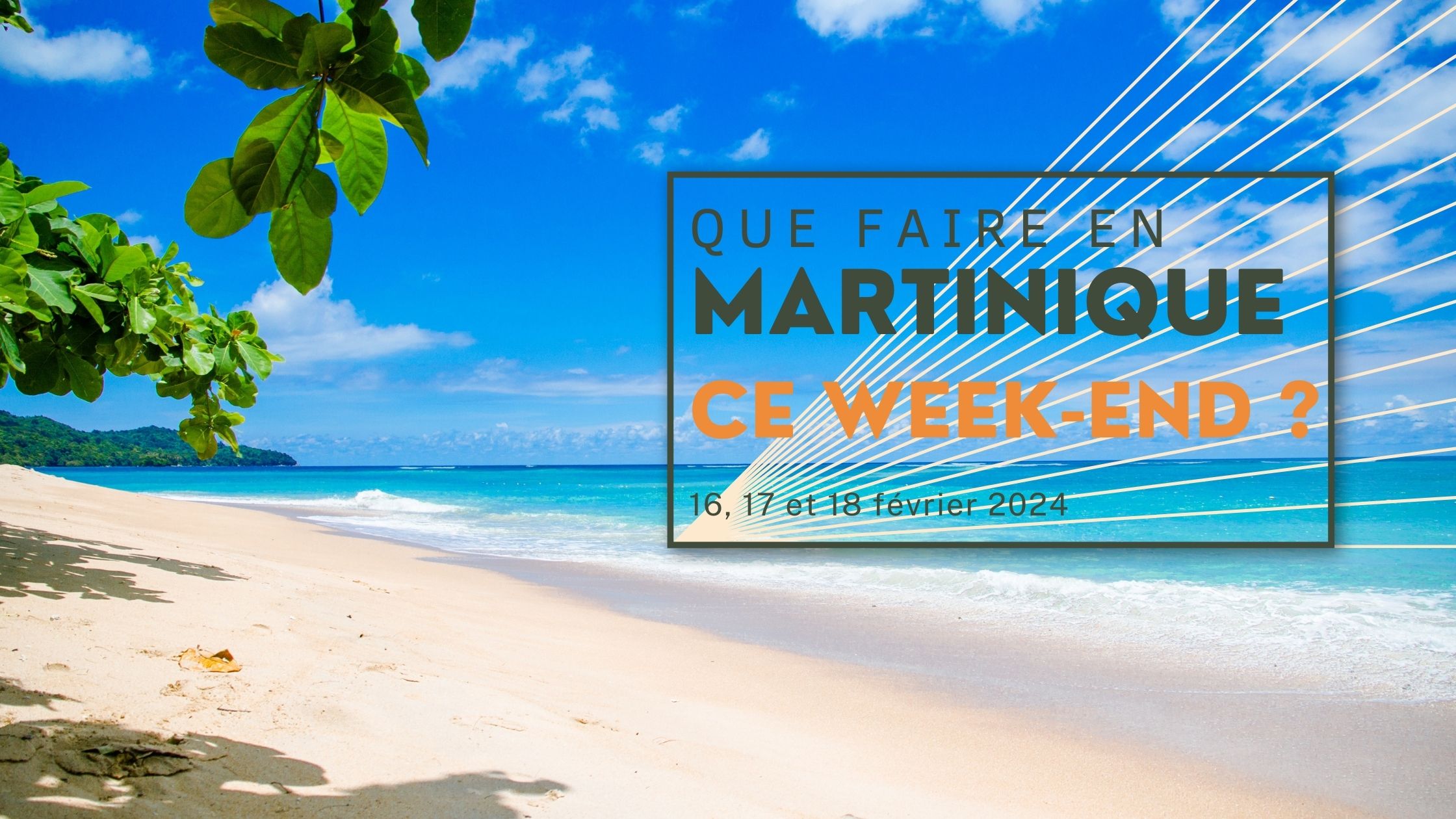 Que faire ce week-end en Martinique (16, 17 et 18 février 2024 ...