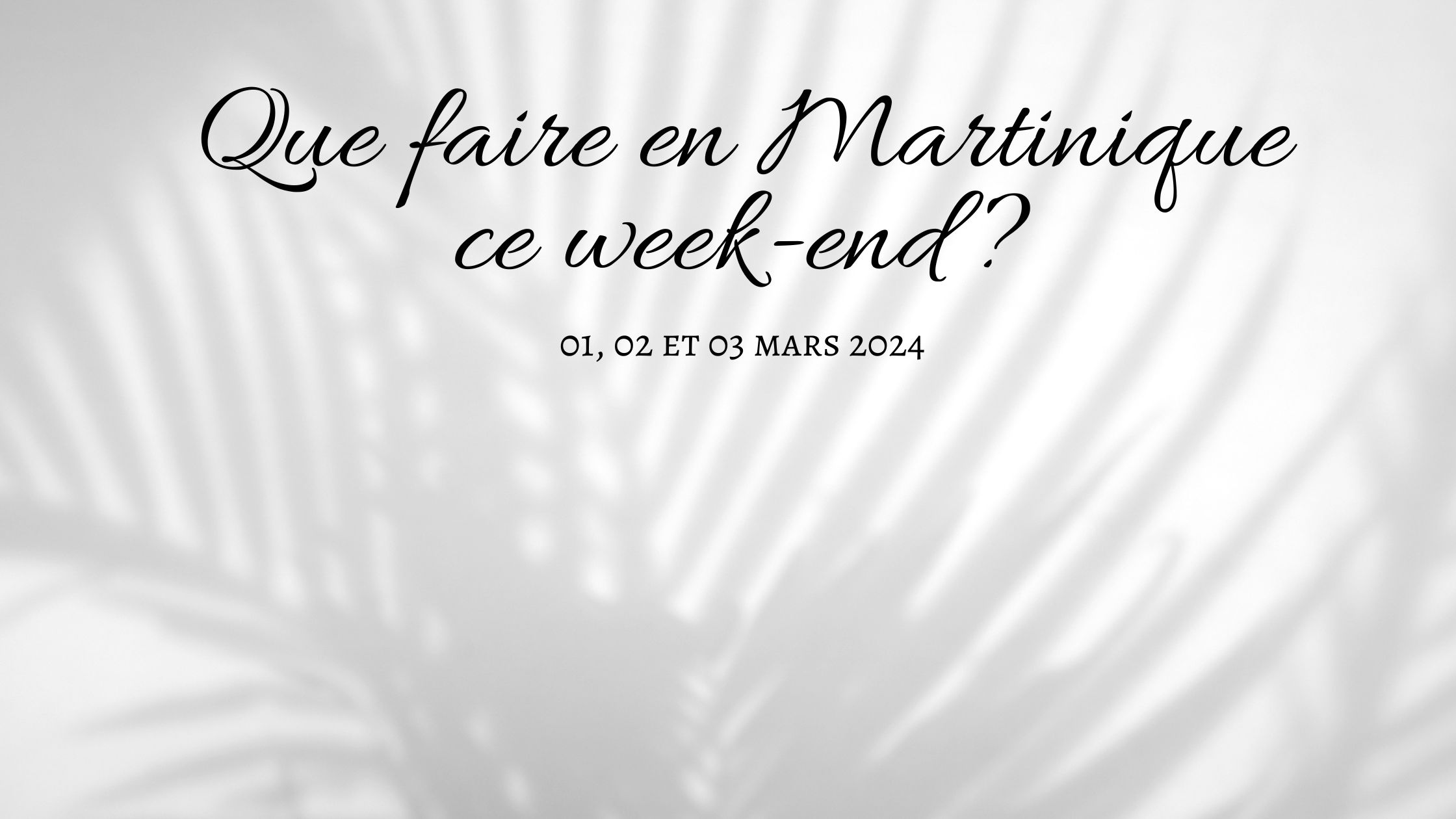 Que faire ce week-end en Martinique (1, 2 et 3 mars 2024) ? – Chill in 972